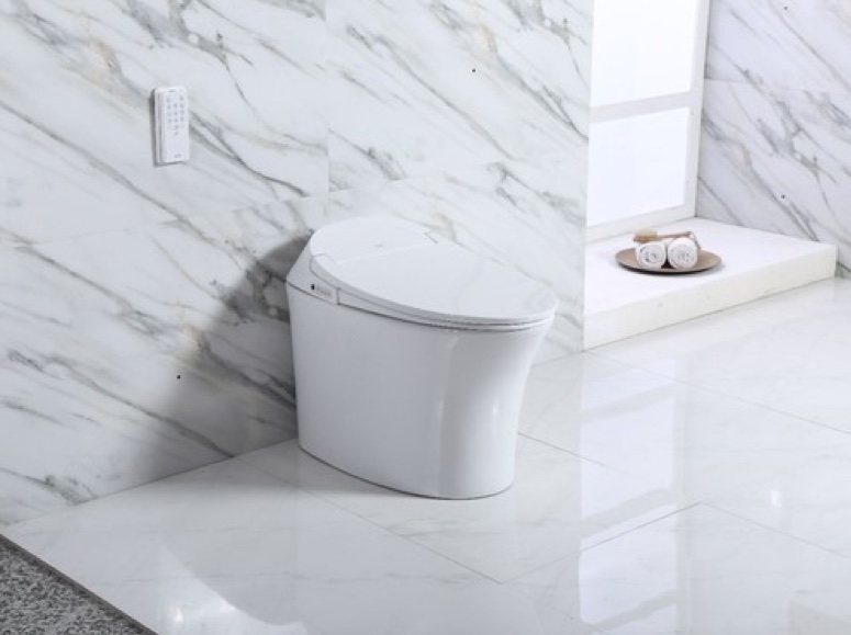What Are The Functions Of The Smart Toilet UseOfSmartHome